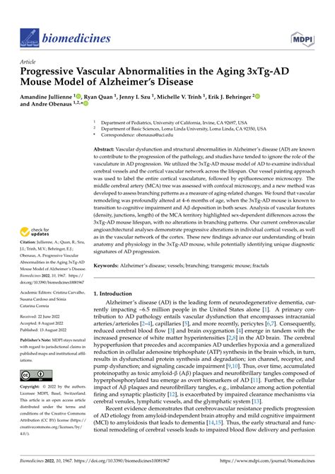 Pdf Progressive Vascular Abnormalities In The Aging 3xtg Ad Mouse Model Of Alzheimers Disease