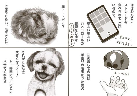 Untitled こたき Illustrations ART street