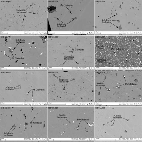 sem bse micrographs from cross section of different samples in which