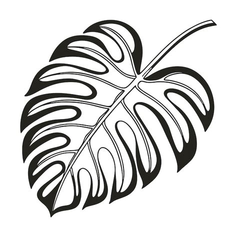 Premium Vector Monstera Leaf Plotter File Svg