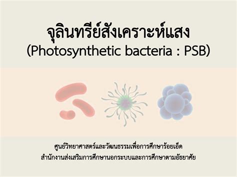 จุลินทรีย์สังเคราะห์แสง 945sce00457 หน้าหนังสือ 1 15 พลิก Pdf