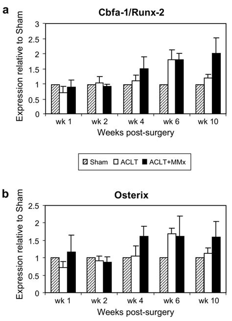 Up Regulation Of Transcription Factors Mediating Bone Anabolism Runx2 Download Scientific