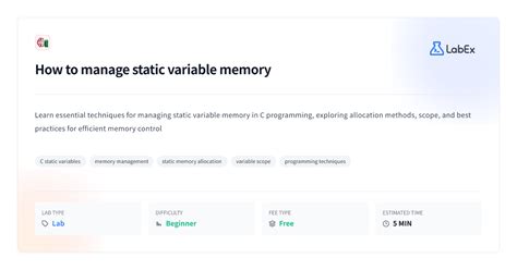 How To Manage Static Variable Memory Labex