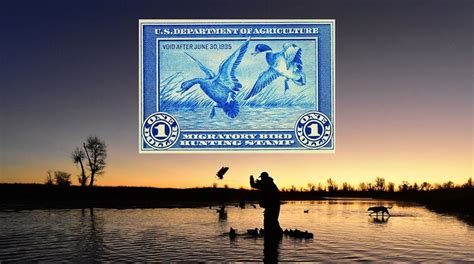 duck stamp modernization act passes u s house an official journal of