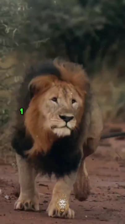 Irshad Ahamed On Linkedin Workenvironment Personaldevelopment Personalgrowth