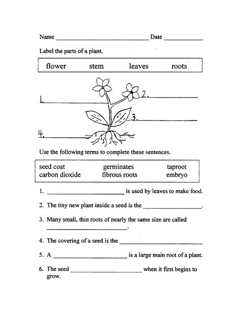 Pin On Badge 2 1st Grade Science
