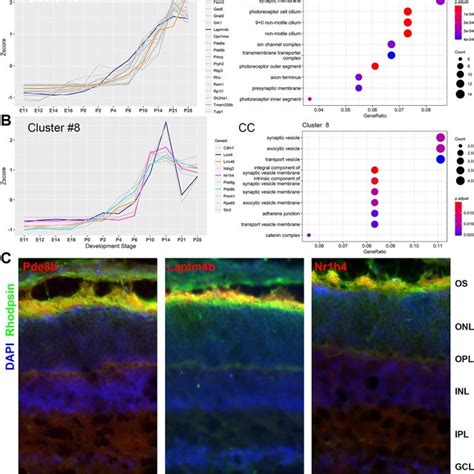 Outline Of Computational Pipeline For Functional Gene Discovery
