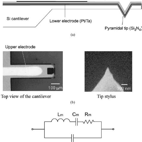 A Schematic Diagram B Photograph And C Equivalent Electrical