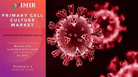 Global Primary Cell Culture Market Shaping Advancements In Drug