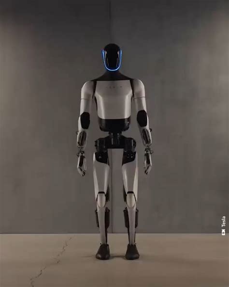 Kepler Vs Tesla Vs Amazon Whose Robot Is Superior Explore Industry