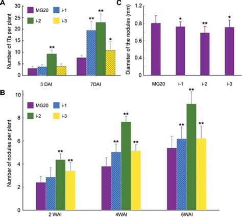 Nodulation Phenotype Of Ljald1 Rnai Plants A Infection Threads On