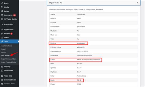 Enable Object Cache Pro In Cloudways With Video