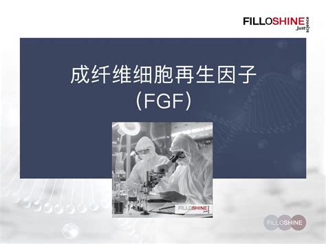 成纤维细胞再生因子（fgf） 知乎