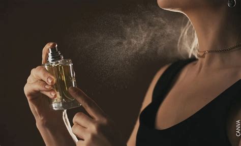 Mejores Perfumes De Mujer Para Seducir ¡estará A Tus Pies