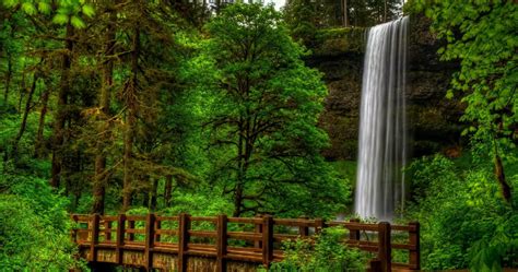 Ultra Hd Forest Wallpapers Top Free Ultra Hd Forest Backgrounds