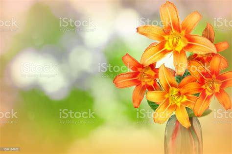 자연에 왼쪽에 텍스트에 대 한 빈 장소를 가진 유리 제 화병에 있는 아름 다운 라이브 백합 꽃다발 꽃다발 고 Bokeh 배경 분기 개념에 대한 스톡 사진 및 기타 이미지