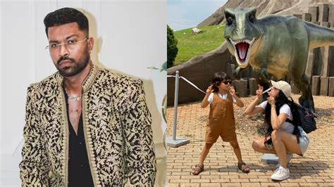 Hardik Pandya Reacts To Natasa Stankovics Insta Post Amid Separation