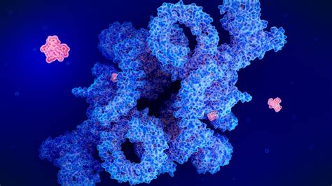 Here S What You Need To Know About The Drug Linked To Living Longer