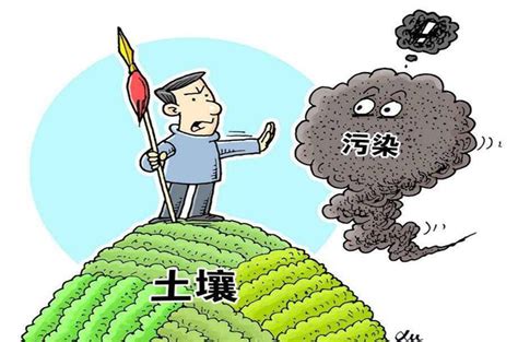 土壤的沐浴专家—土壤淋洗技术 行业动态 土壤淋洗设备 德森环境是一家专注于土壤淋洗设备、淋洗设备、污染土壤淋洗设备、撬装式土壤淋洗设备、移动