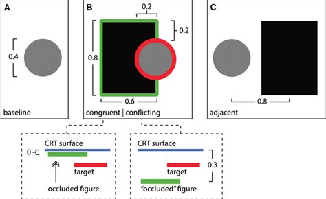 Examples Of The Different Occlusion Configurations All Measurements