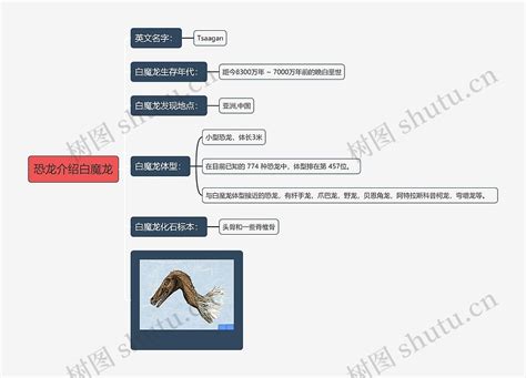 恐龙介绍白魔龙思维导图编号t3105938 Treemind树图