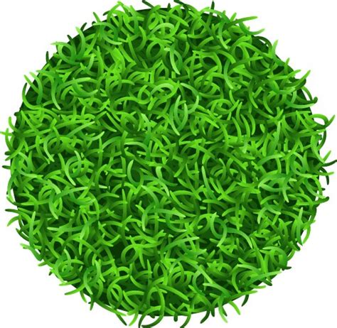 Grass Circle 3d Green Plant Grassy Round Field Vector Image