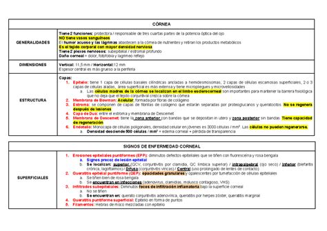 Cornea libro Kanski CÓRNEA GENERALIDADES Tiene 2 funciones