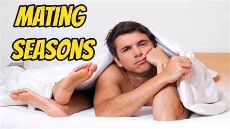 Do Humans Have Mating Seasons Youtube