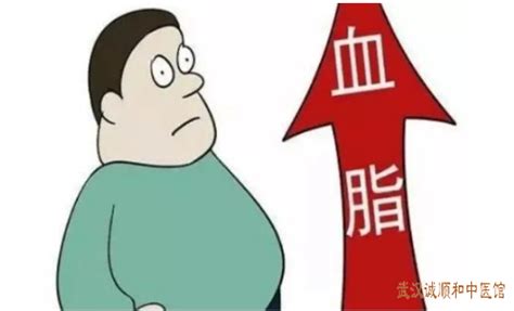 从中医角度来说导致高血脂症形成的原因有哪些该如何辨治呢 武汉诚顺和中医馆 比较好的中医院门诊部