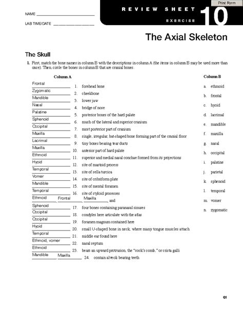 Review Sheet Exercise 10 The Axial Skeleton 61 The Skull 1 First Match The Bone Names In