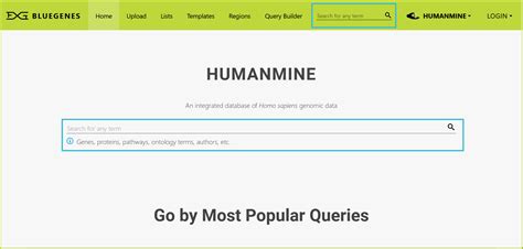 Keyword Search Intermine User Documentation