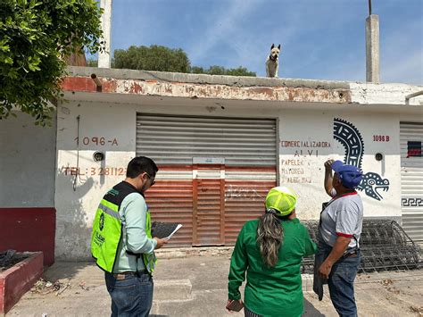 Última Oportunidad Para Bajar A Los Perritos De Las Azoteas El