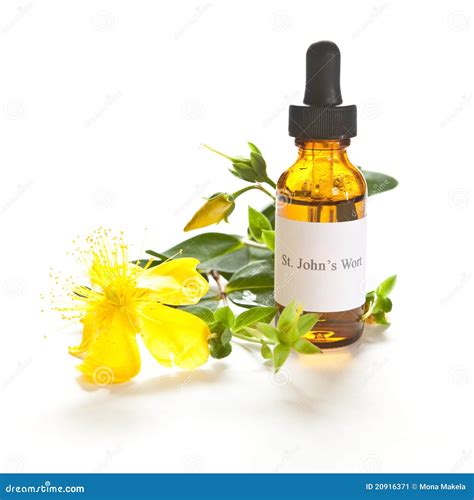 St John S Wort Tincture Or Extraction Stock Image Image Of Alternative Tincture