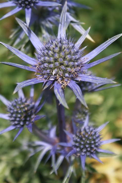 Formal Elements USH Photography GCSE