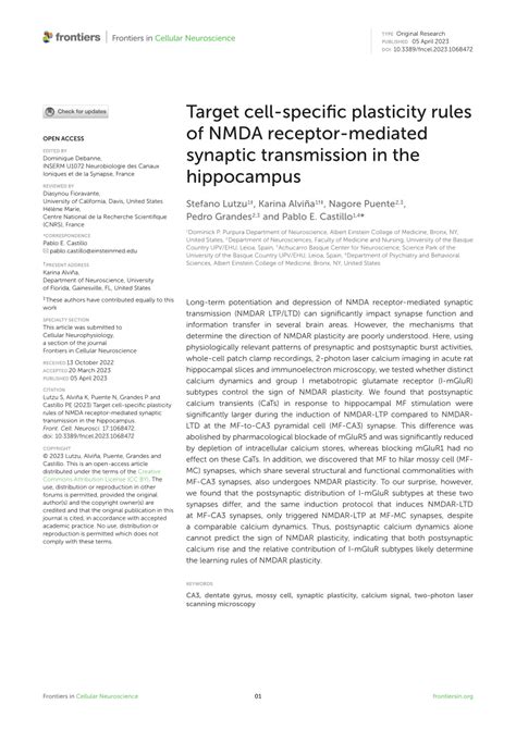 Pdf Target Cell Specific Plasticity Rules Of Nmda Receptor Mediated
