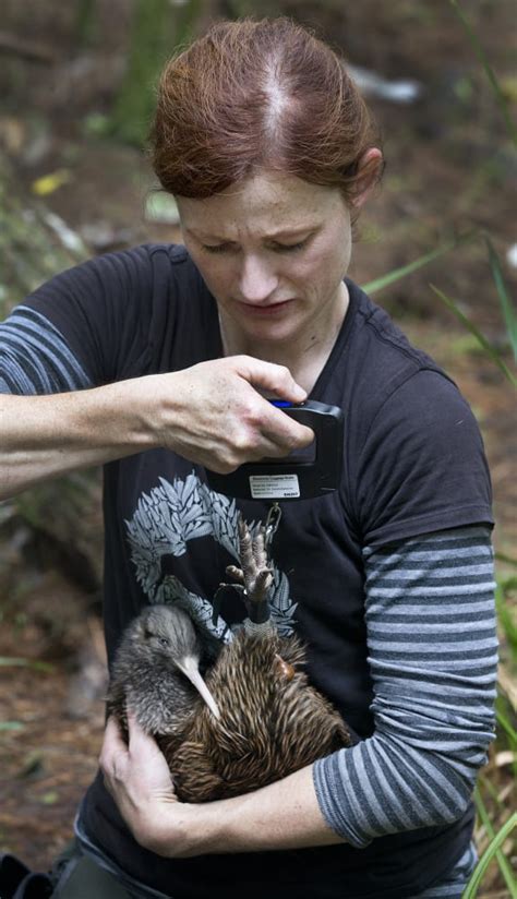 Project Kiwi A Gallery From Afternoons RNZ National