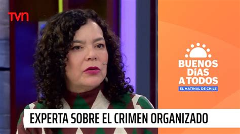La Alerta De Experta Ante La Instalación Del Crimen Organizado En Chile