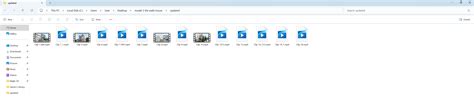 Corrupt Video Render Constant Crash Tech Support D5 Render Forum