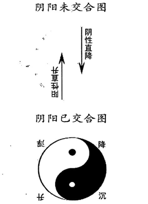 圆运动的古中医学 拆书版 阴阳 知乎