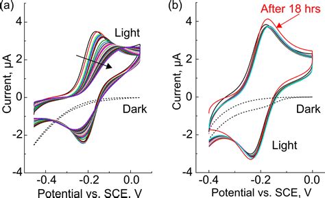 Electrodeposition Parameters Dramatically Influence The Morphology