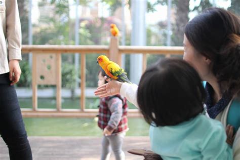 경주동궁원 경주버드파크 새🕊새🕊새🕊새 🕊 친구들과 놀아요~ 선생님도 학생도 엄마도 아이도 새들도