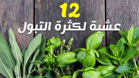 12 وصفة طبيعية لعلاج كثرة التبول بالاعشاب Youtube