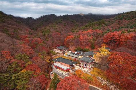 가을 단풍의 절정이 얼마 남지 않았어요 오색찬란 화려하게 물든 국내 여행지 여행을말하다