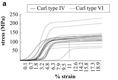 Why Should I Care About Hair The Mechanics Behind Curly Hair Biomechanics In The Wild
