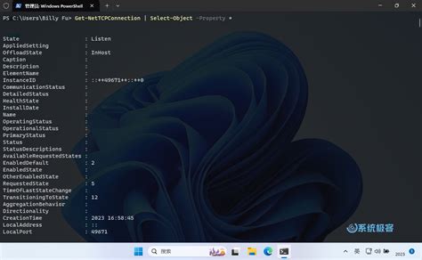 使用 Netstat 或 Powershell 查看 Windows 监听端口占用