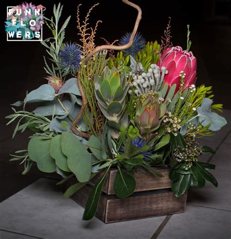 Мужской в ящике Plants Garden