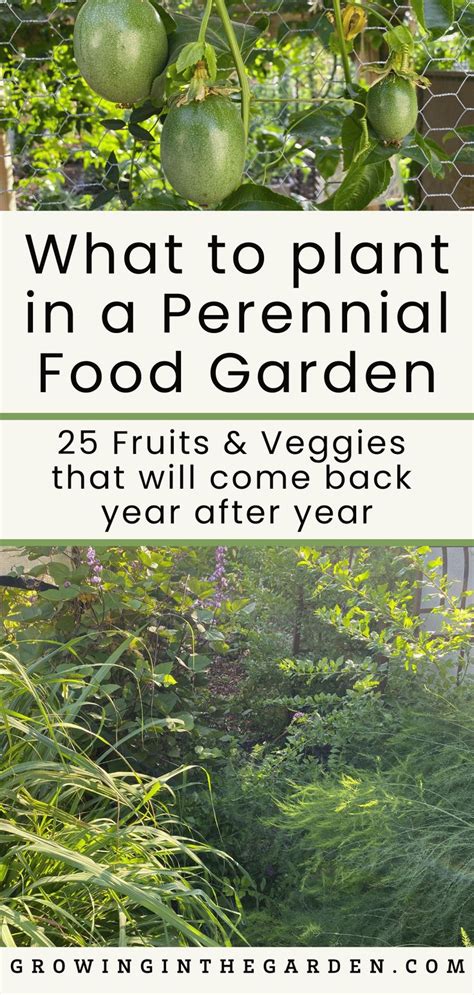 25 Edible Perennial Varieties For Desert Climates Di 2024