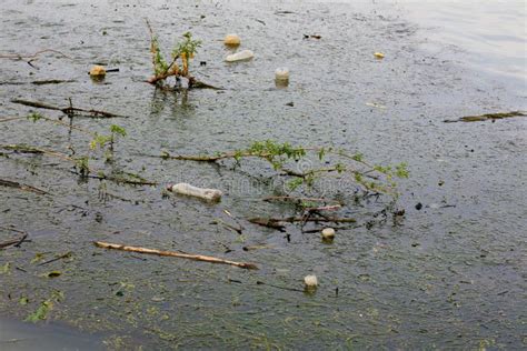 поверхностная вода реки загрязнения отброса Стоковое Фото изображение