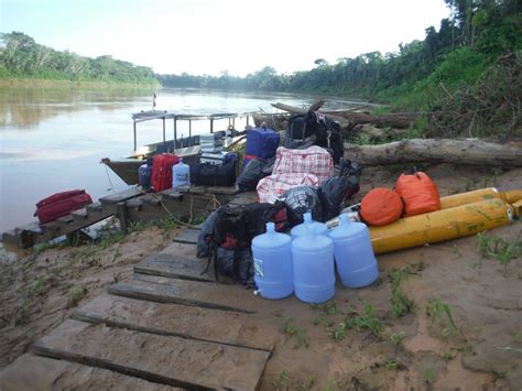 Amazon Forest Study IMAGE EurekAlert Science News Releases
