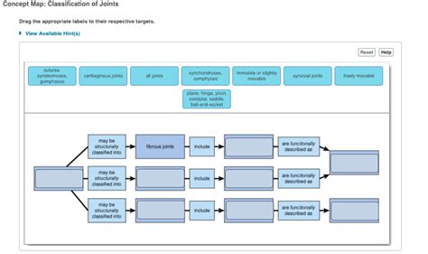 Master The Joints Concept Map A Complete Guide